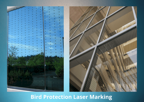 Bird Protection Glass Marking